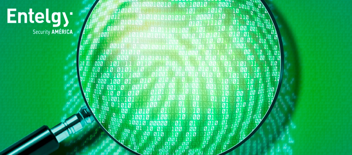 Forense digital y fraude informático: claves para una respuesta eficaz ...